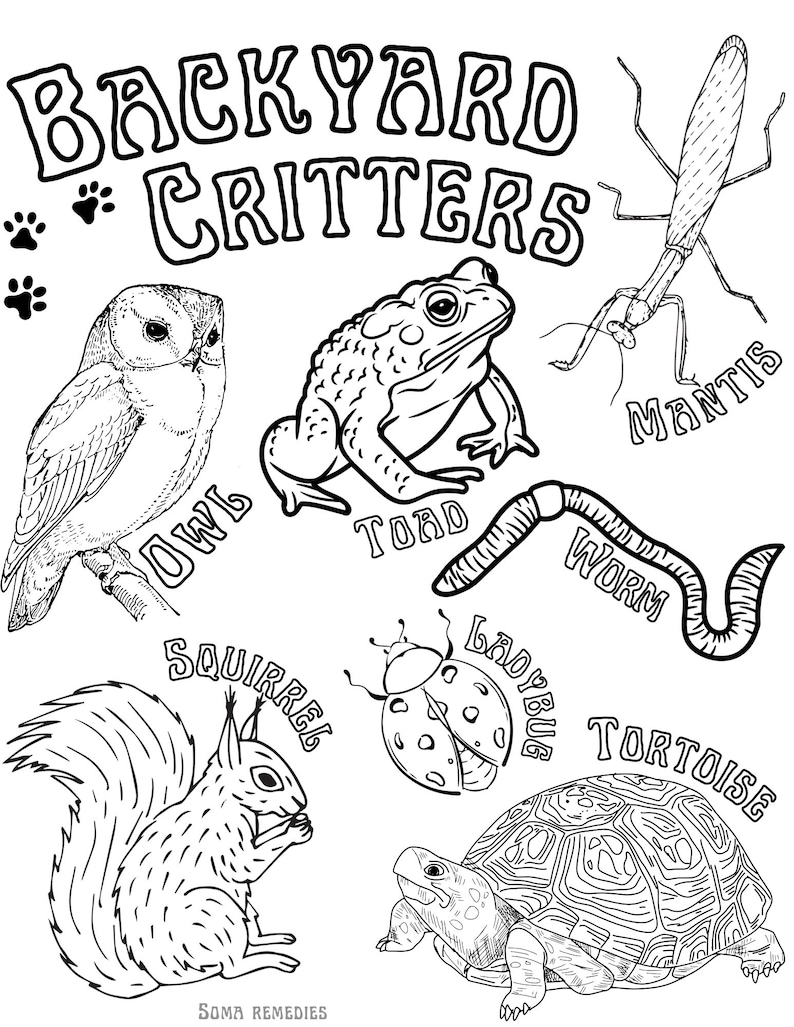 Backyard Critters Coloring Page, Herbalism & Plant Coloring Page ...