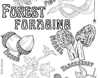 Hand Drawn Mushroom Coloring Page - Etsy