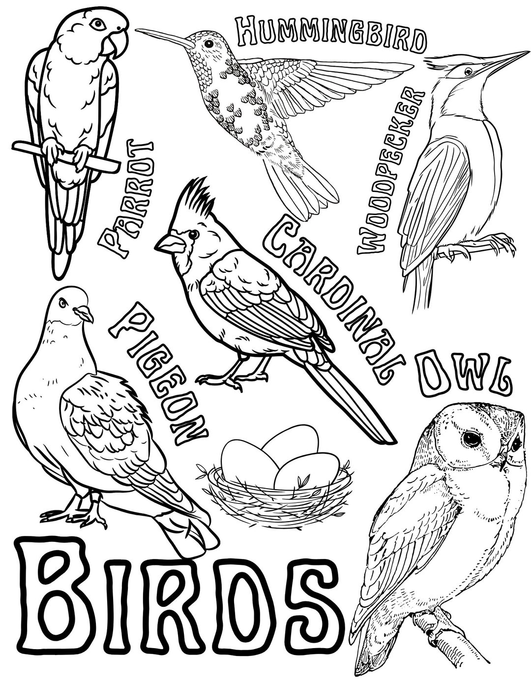 BIRDS Coloring Page, Digital Coloring Page, Nature and Garden Inspired ...