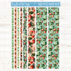 Strawberry Weekly Printable Planner Stickers, Vertical EC Sticker Kit ...
