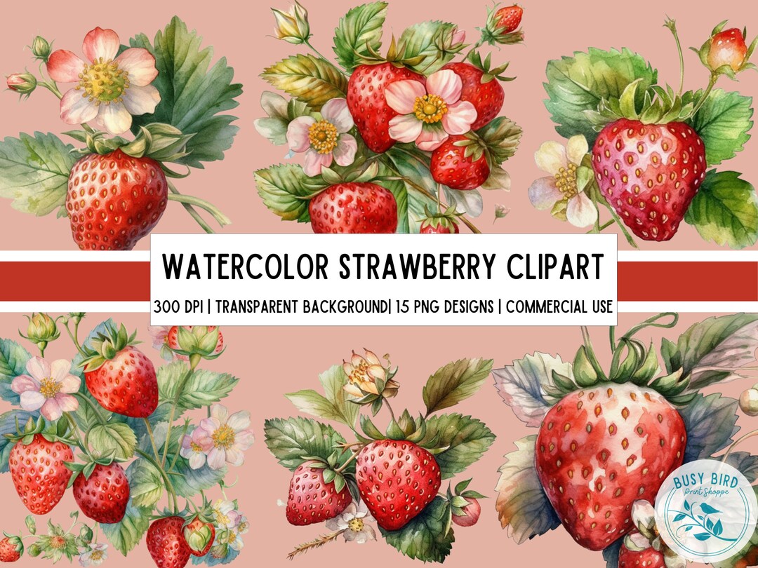 Watercolor Strawberries Clipart PNG | Strawberry Clip Art | Fruit ...