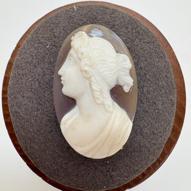 Shell Cameos - Etsy
