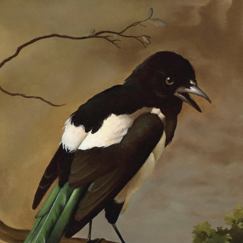 Magpie Painting Drawing - Etsy