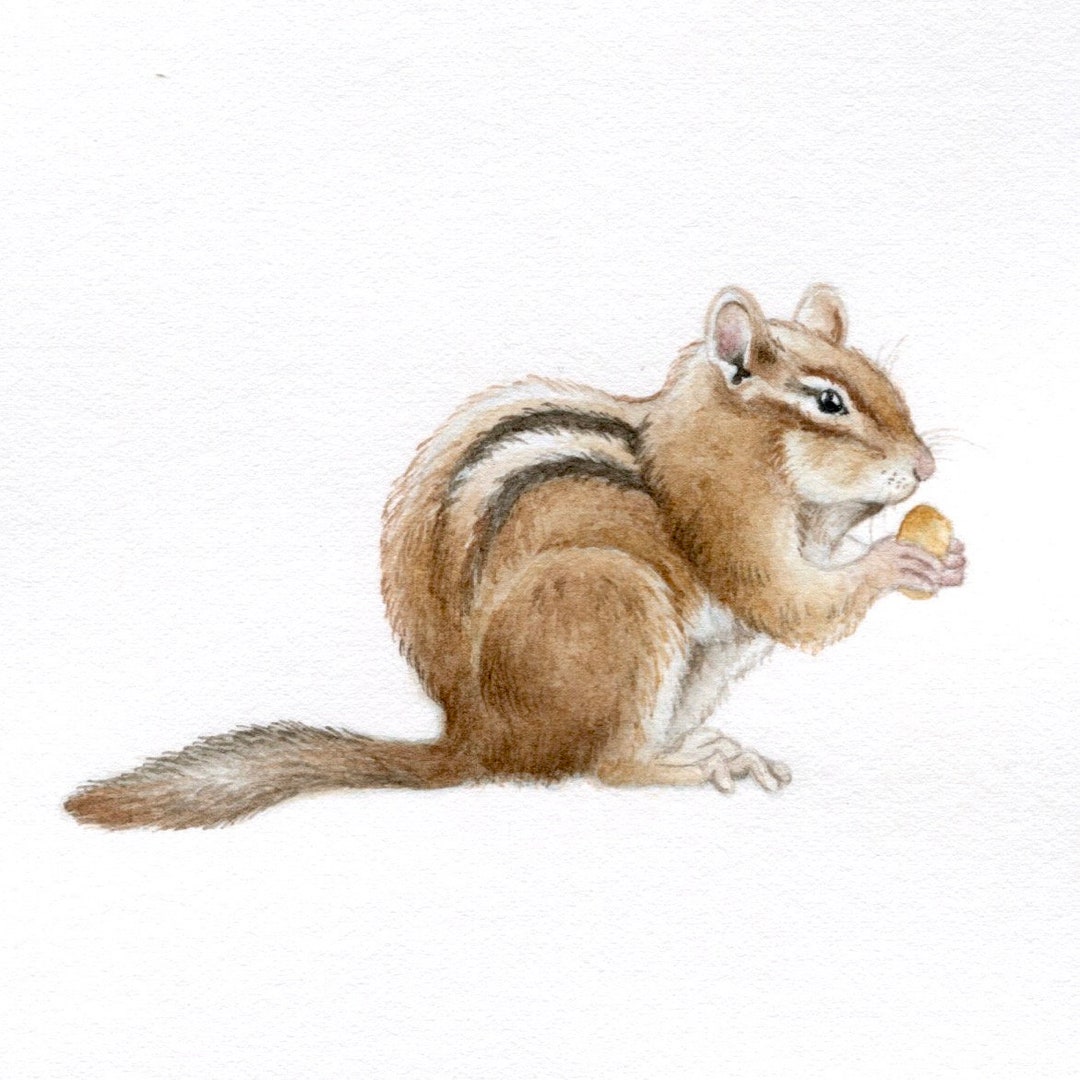 Chipmunk Original Watercolor Painting - Cottage Core Nature Animal ...