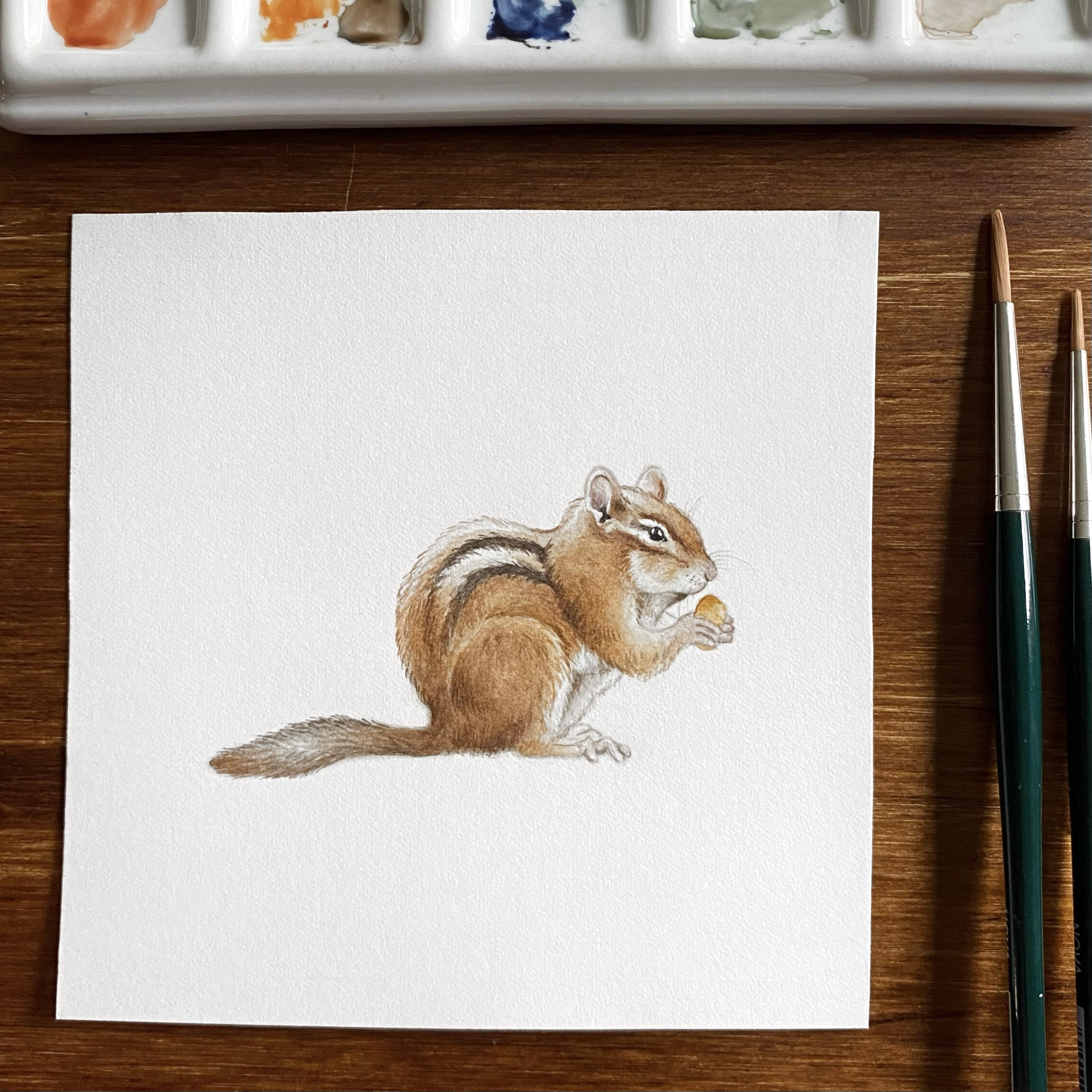 Chipmunk Original Watercolor Painting - Cottage Core Nature Animal ...