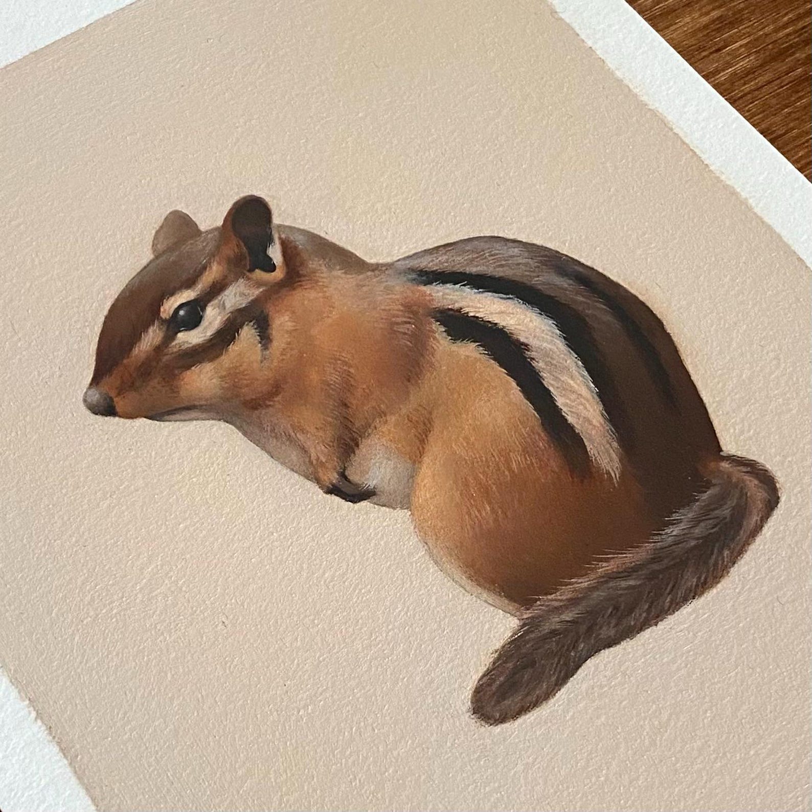 Chipmunk Artwork, Original Oil Painting - Hand Painted Wildlife ...