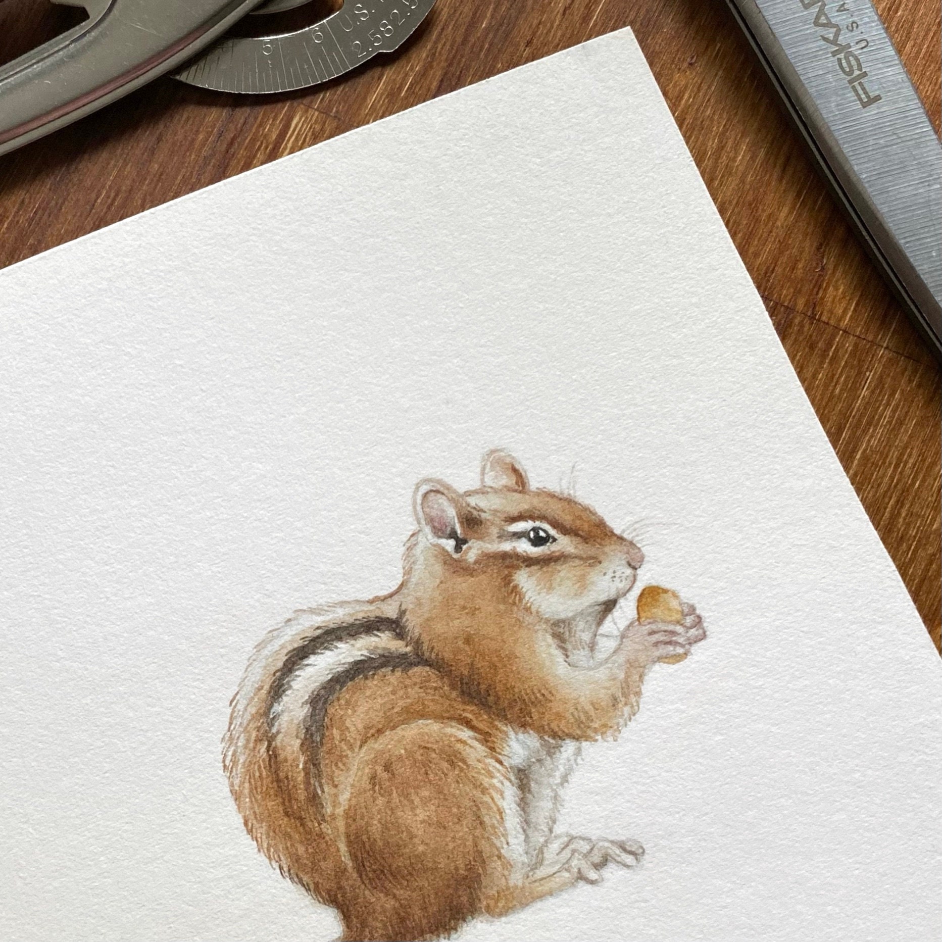 Chipmunk Original Watercolor Painting - Cottage Core Nature Animal ...