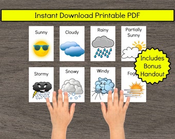 Four 4 Seasons Trees Science Teaching Printable Resources Classroom ...