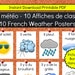 Météo French Weather Teaching Printable Resources Classroom Posters ...