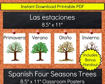 Spanish Months of the Year Teaching Printable Resources Classroom ...