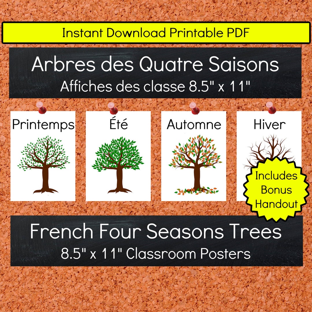 French Four 4 Seasons Science Teaching Printable Resources Classroom ...