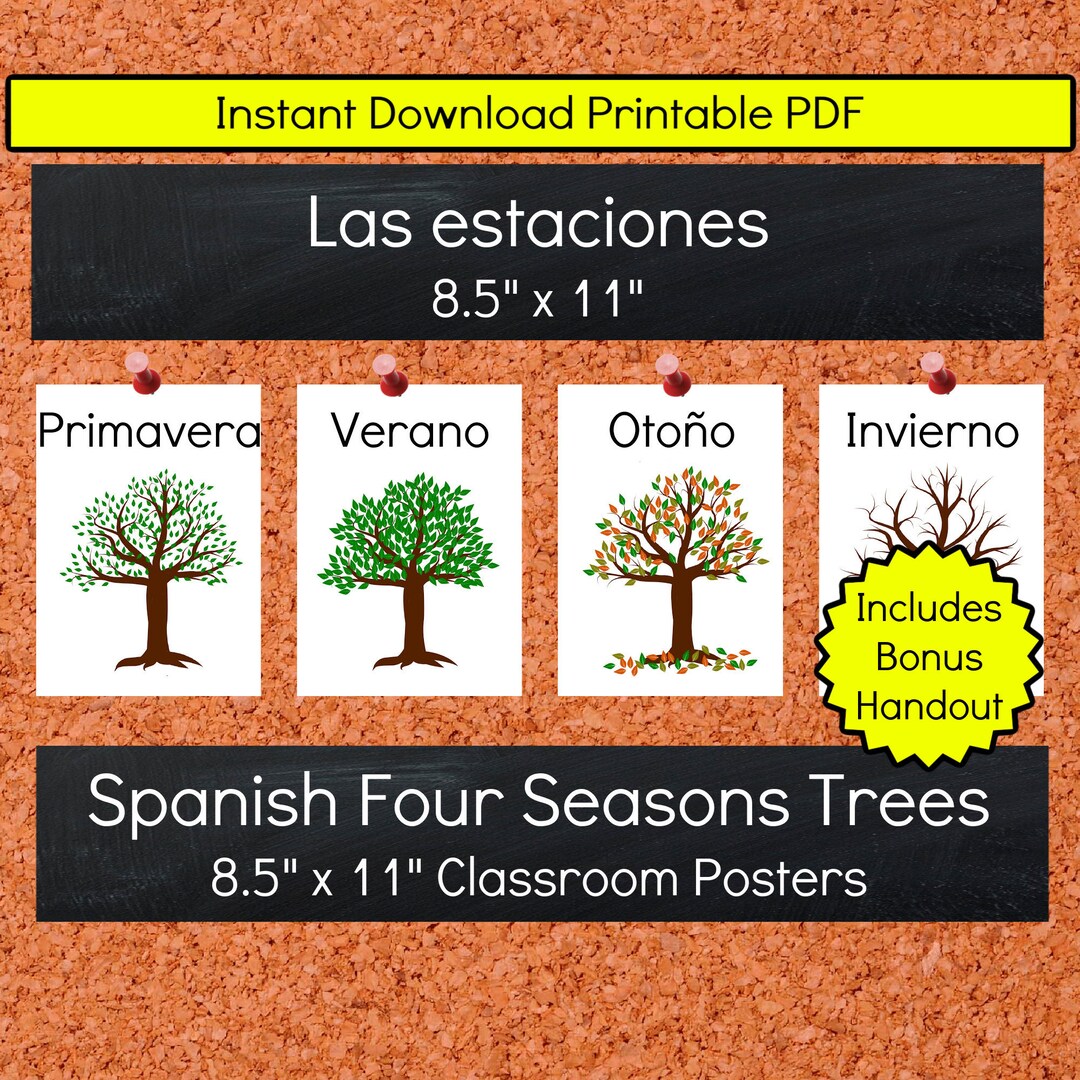 Spanish Four 4 Seasons Science Teaching Printable Resources Classroom ...