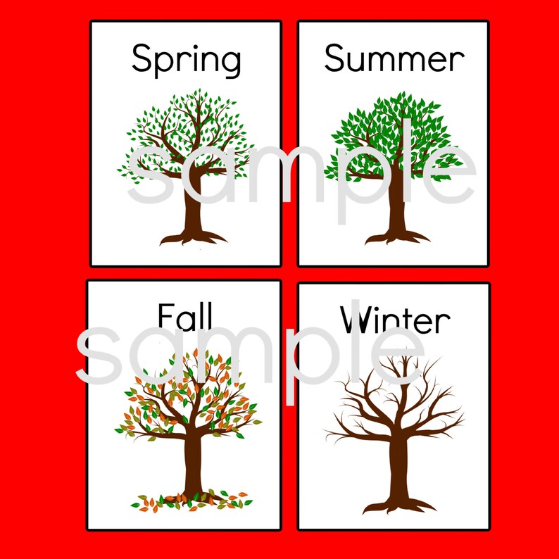 Four 4 Seasons Trees Science Teaching Printable Resources Classroom ...