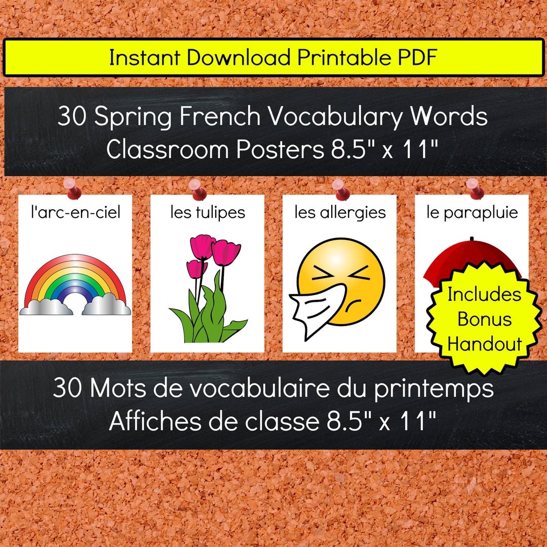 30 French Spring Vocabulary Words Classroom Posters Teaching Printable ...