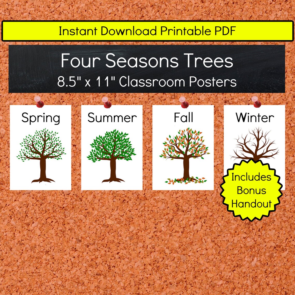 Four 4 Seasons Trees Science Teaching Printable Resources Classroom ...