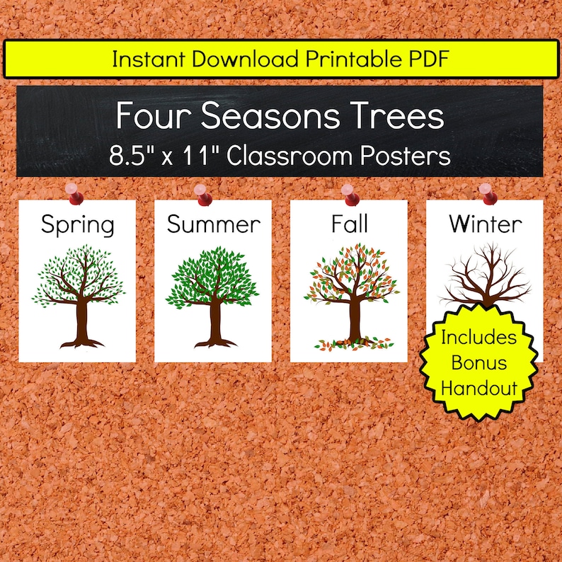 Four 4 Seasons Trees Science Teaching Printable Resources Classroom ...