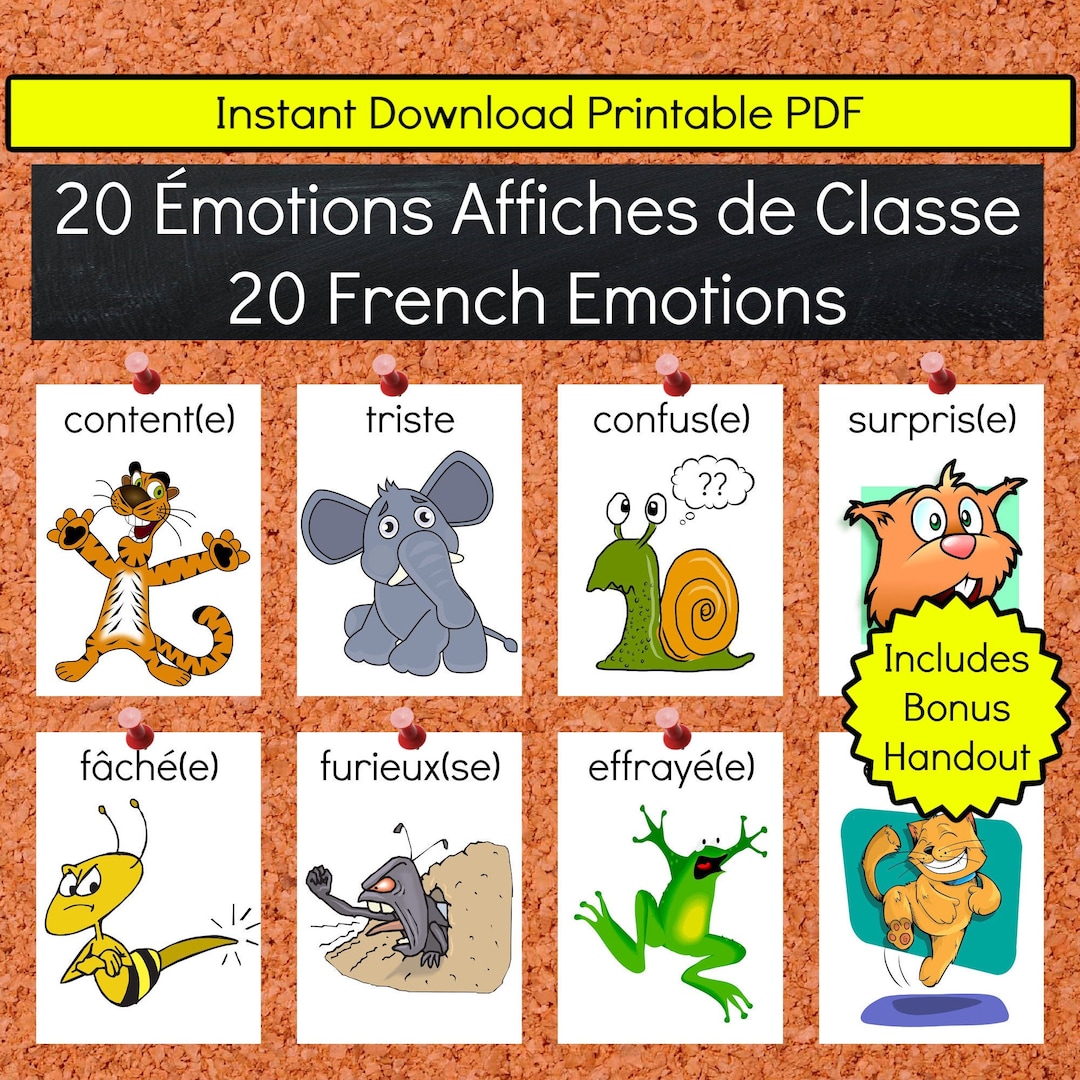20 French Emotions Feelings Teaching Printable Resources Classroom ...