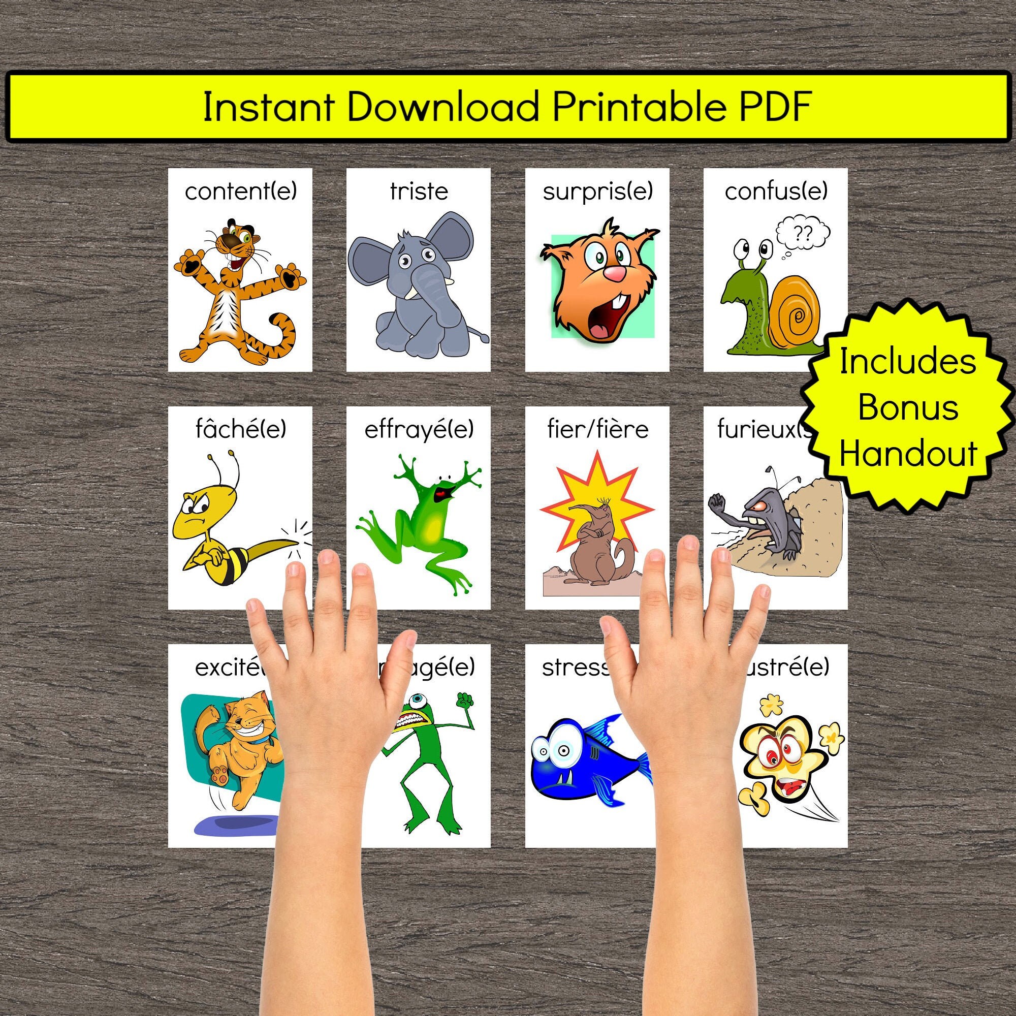 20 French Emotions Feelings Flashcards Teaching Printable Resources ...