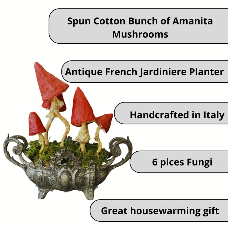 Spun Cotton Amanita Mushroom Statue With Antique French Planter - Etsy