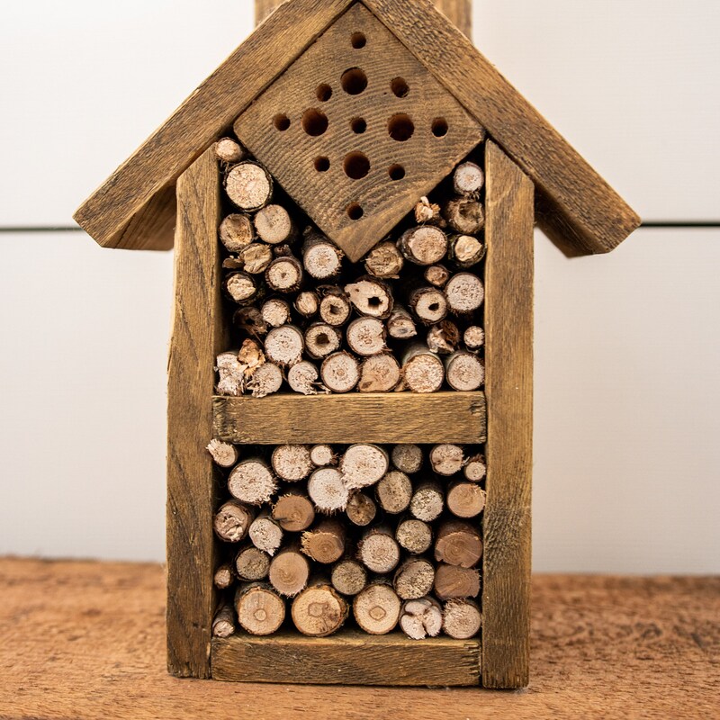 Bug House - Etsy UK