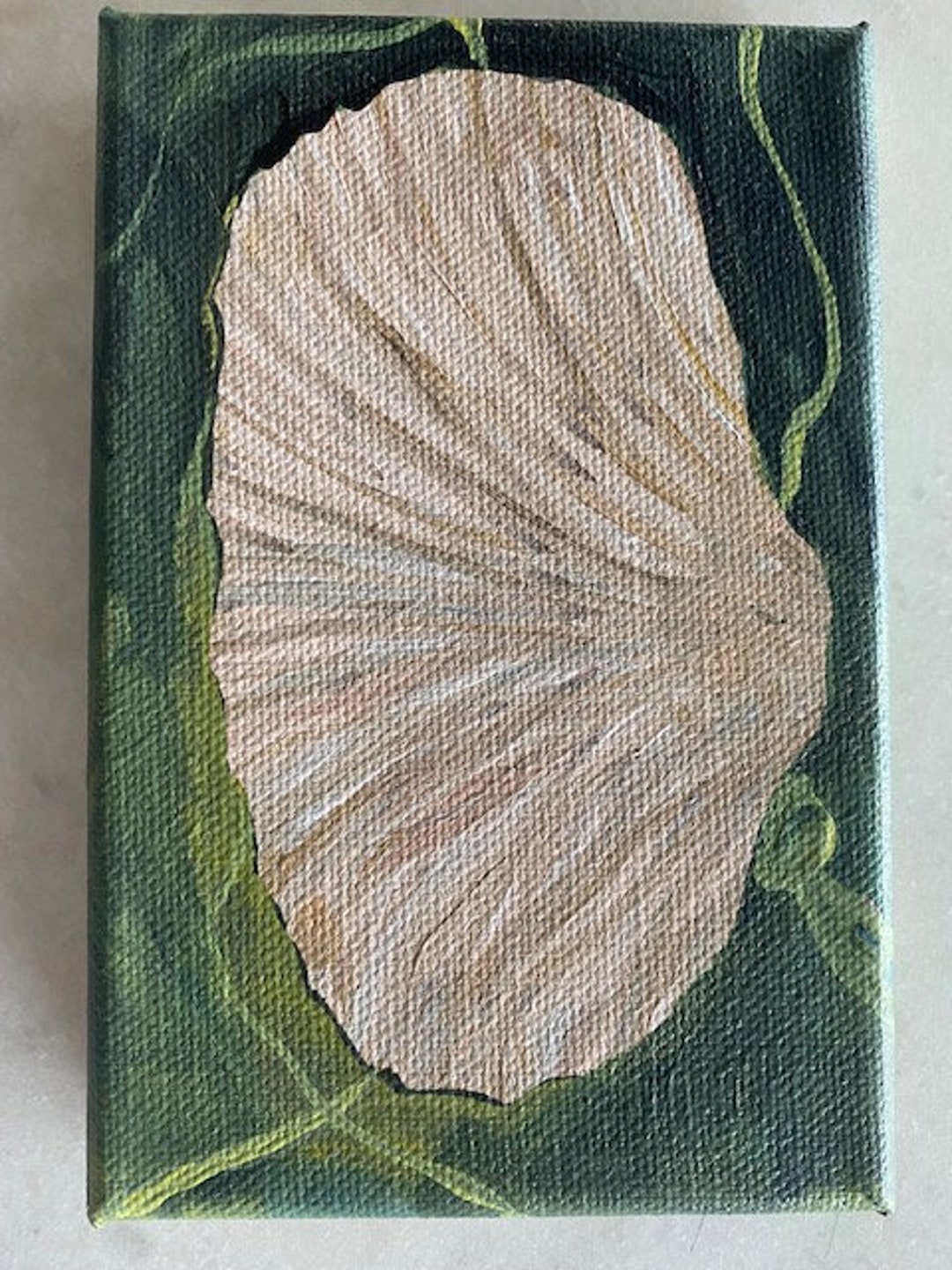 Shell Painting Original Studies Set of 3 - Etsy