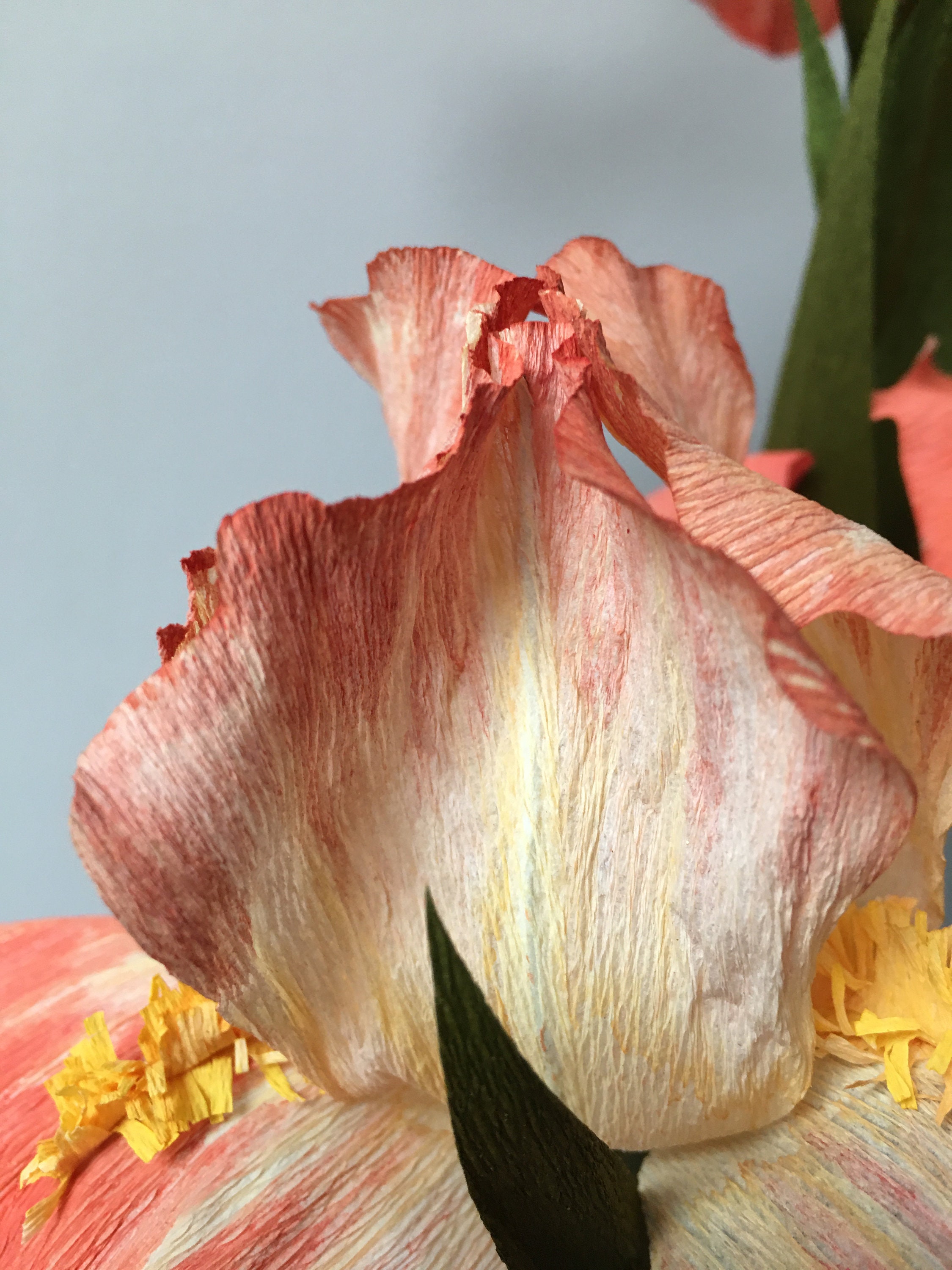 3 bearded iris, hand painted and made from crepe paper, paper flowers ...