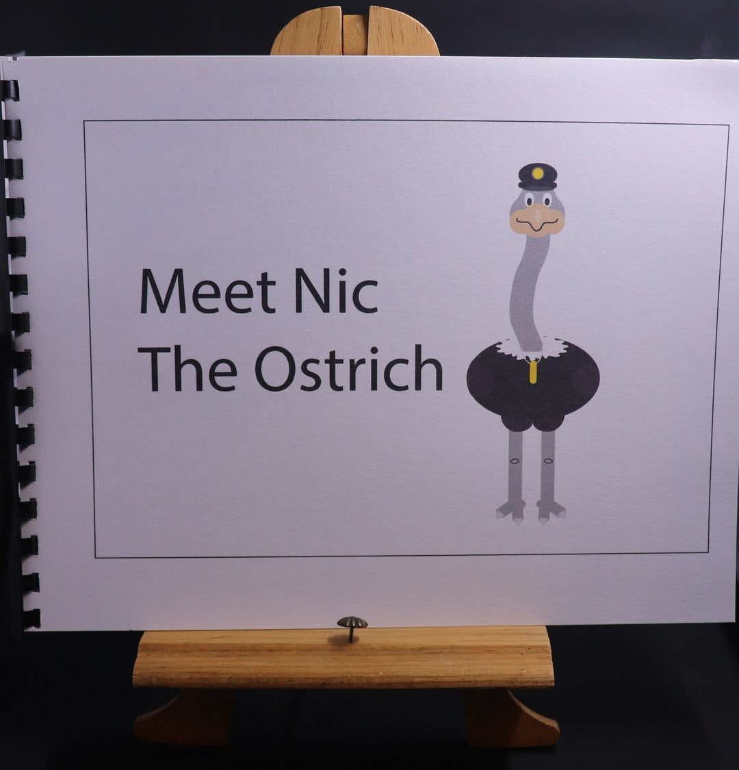 Meet Nic the Ostrich Story Book - Etsy Österreich