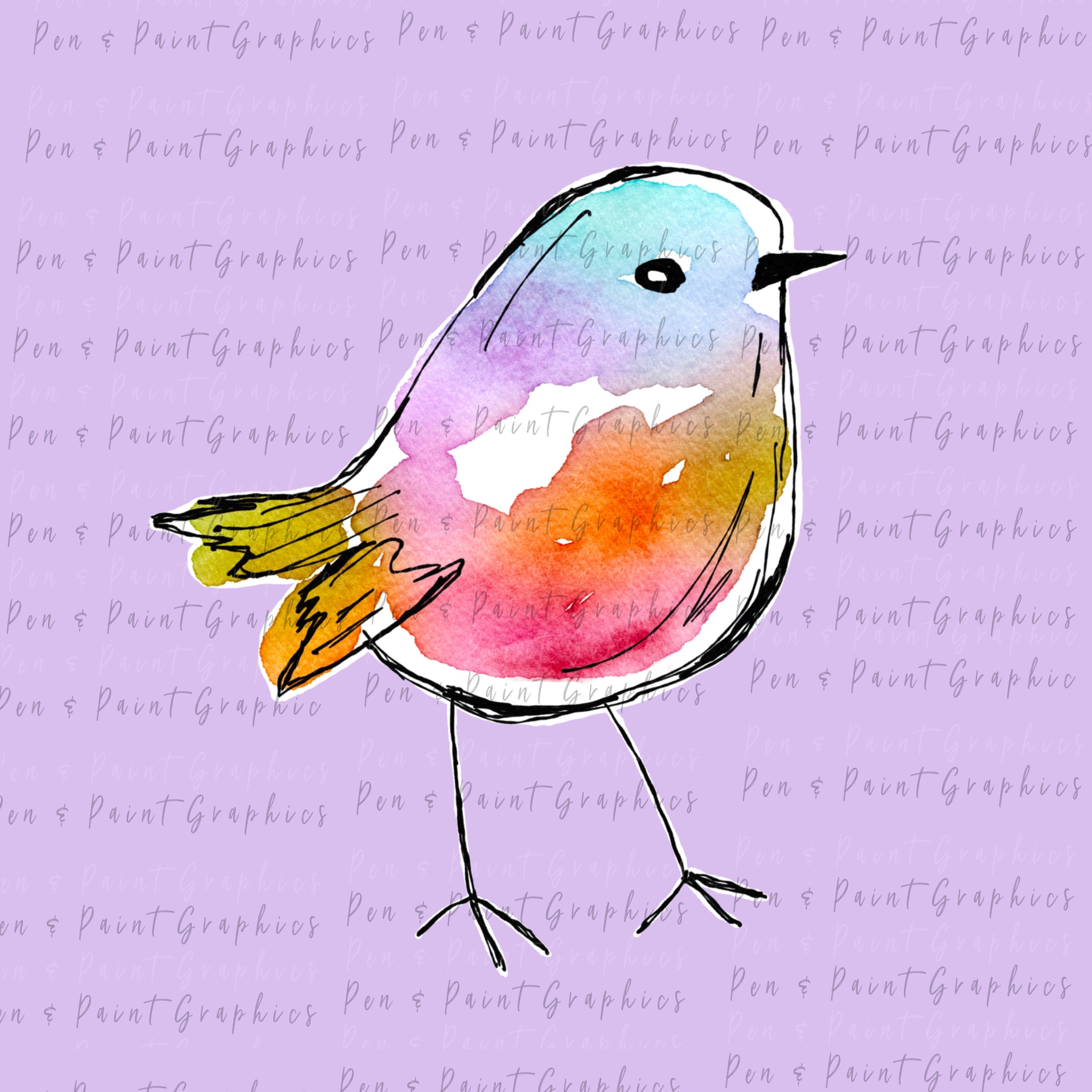 Colorful Cute Watercolor Bird PNG Clipart Graphic Art Sublimation ...
