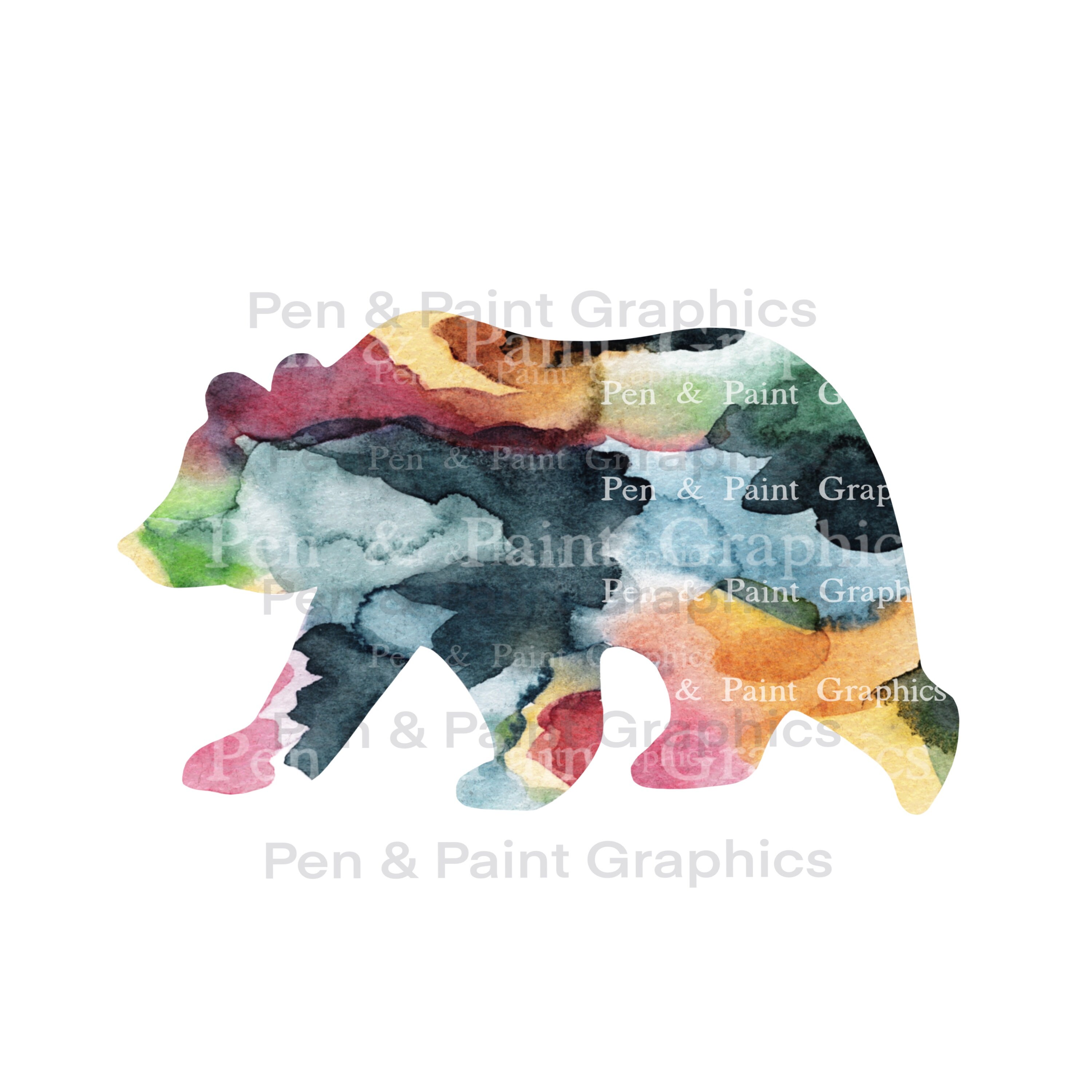 PNG Watercolor Bear Animal Clipart Graphic Art Sublimation Digital ...