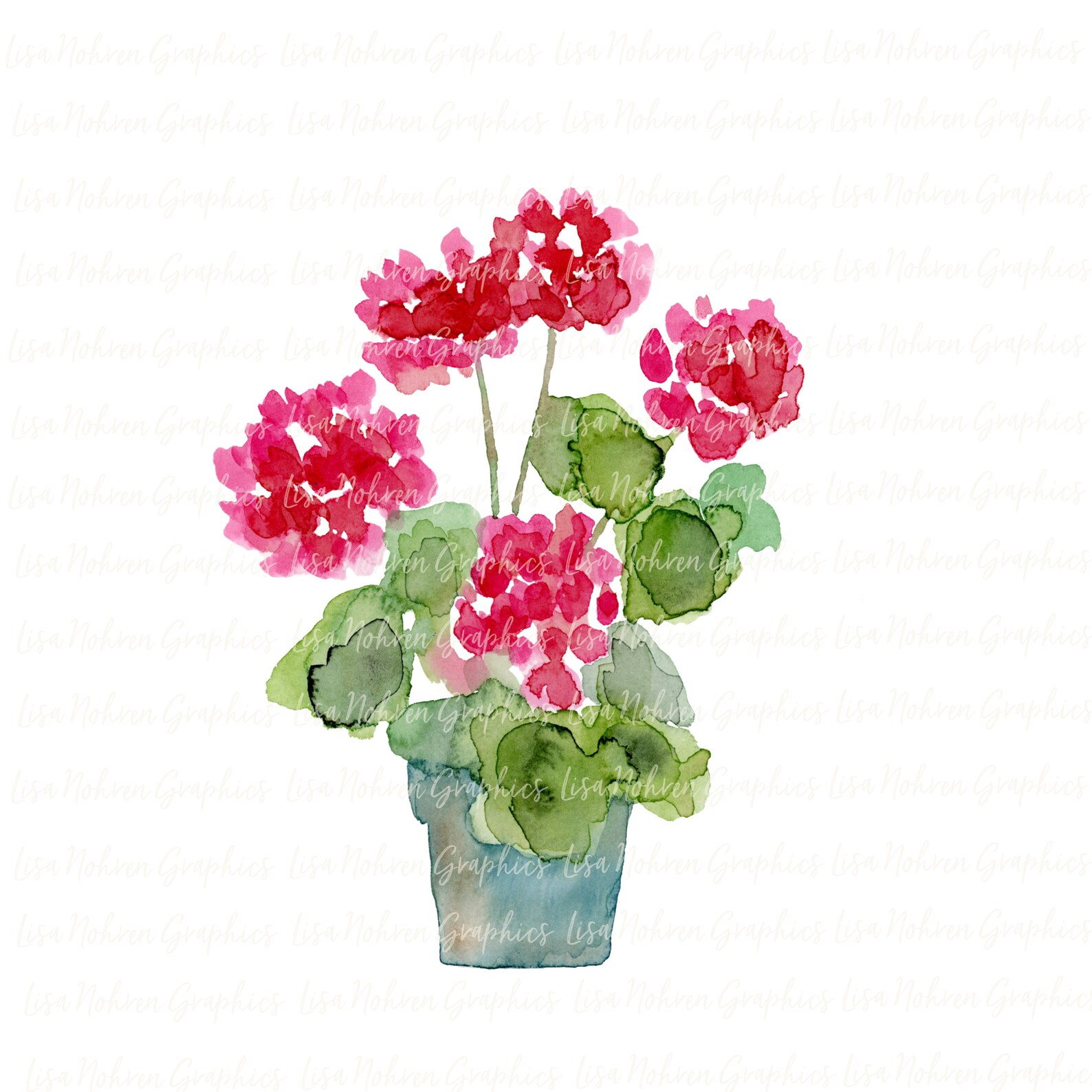 Watercolor Flower Pot Geraniums PNG Clipart Graphic Art Sublimation ...