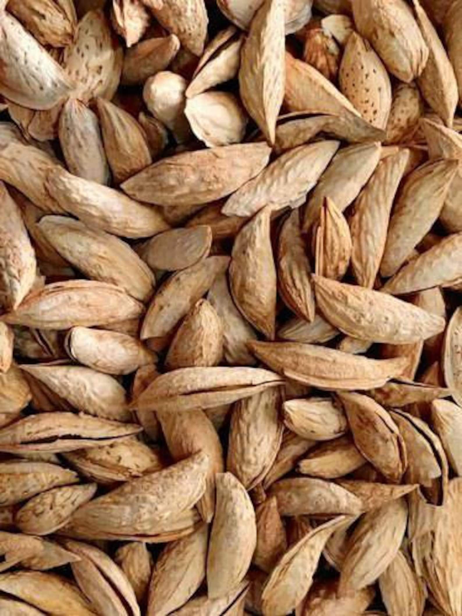 Best 100% Natural Afghani Kagzi Almonds Sitarbai Badam - Etsy Australia