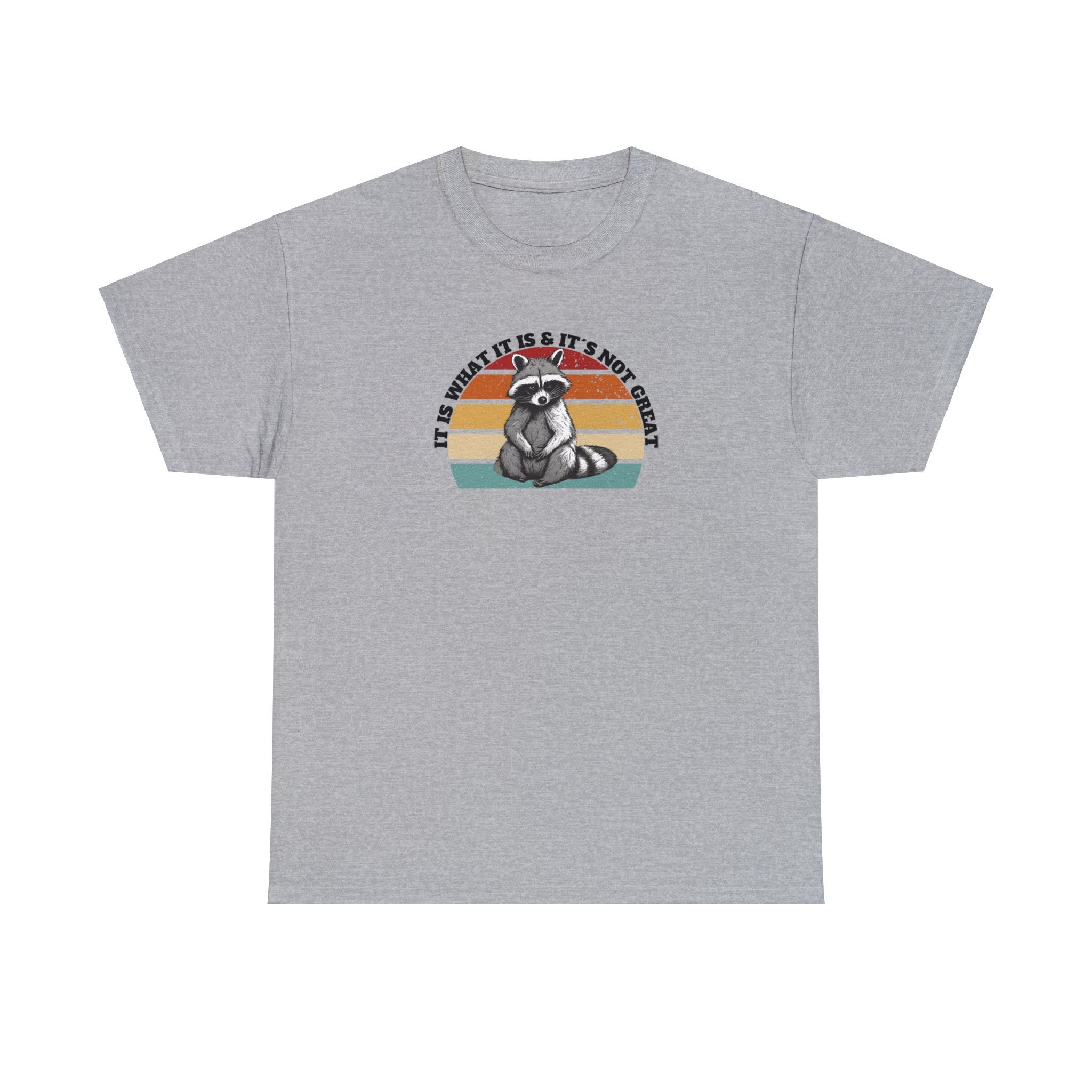 Retro Racoon Meme Sweatshirt Aesthetic Preppy Shirt It is What It is ...