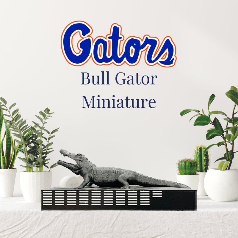 Florida Gator Christmas - Etsy