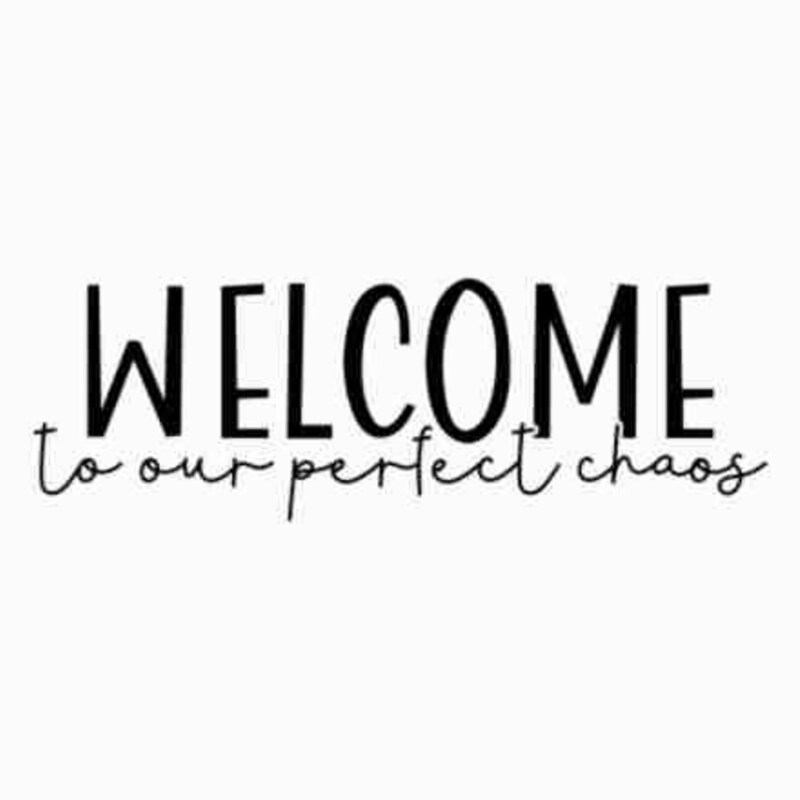 Our Perfect Chaos Svg - Etsy