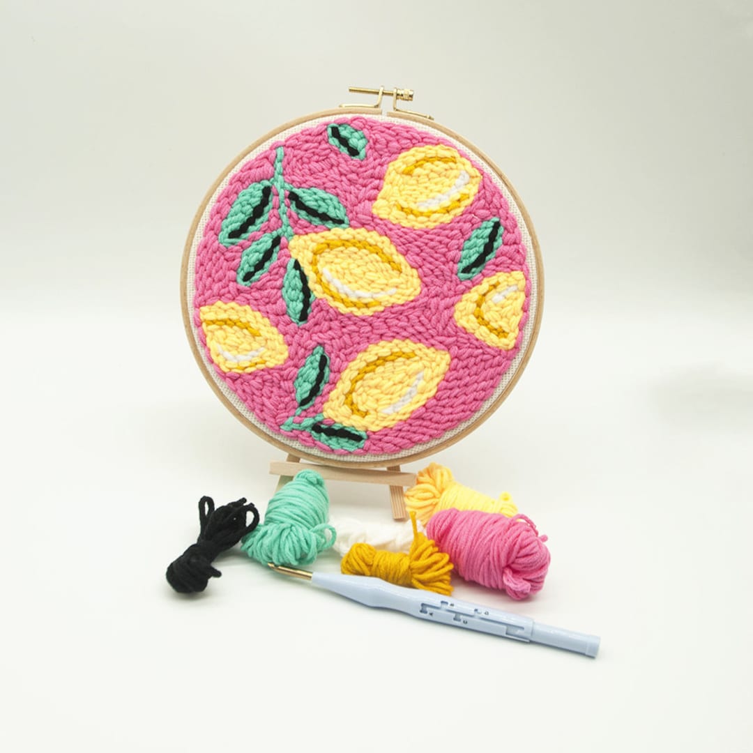 Punch Needle Kit for Beginner,diy Embroidery Punch Needle Kit With ...