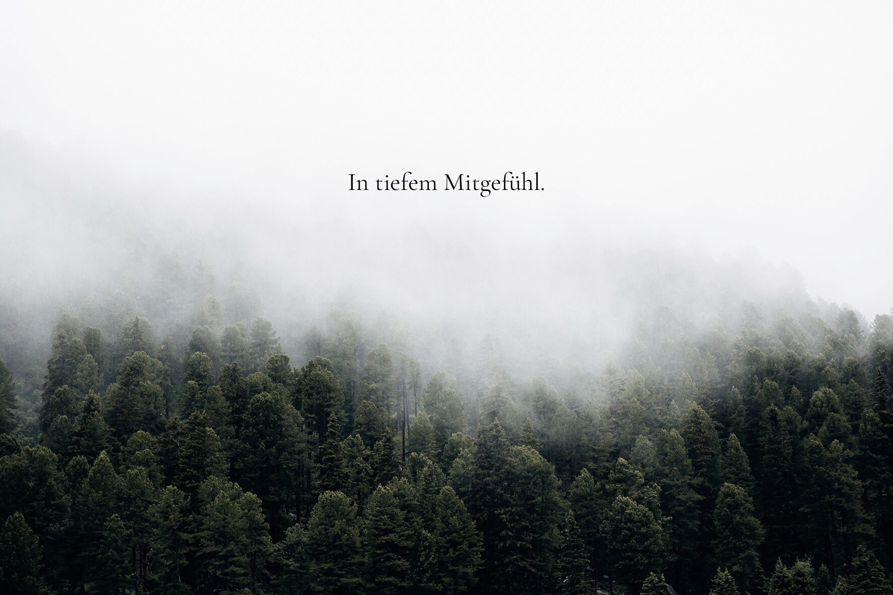 Postcard Sympathy Card Farewell Trees in the Fog With Deep Sympathy ...