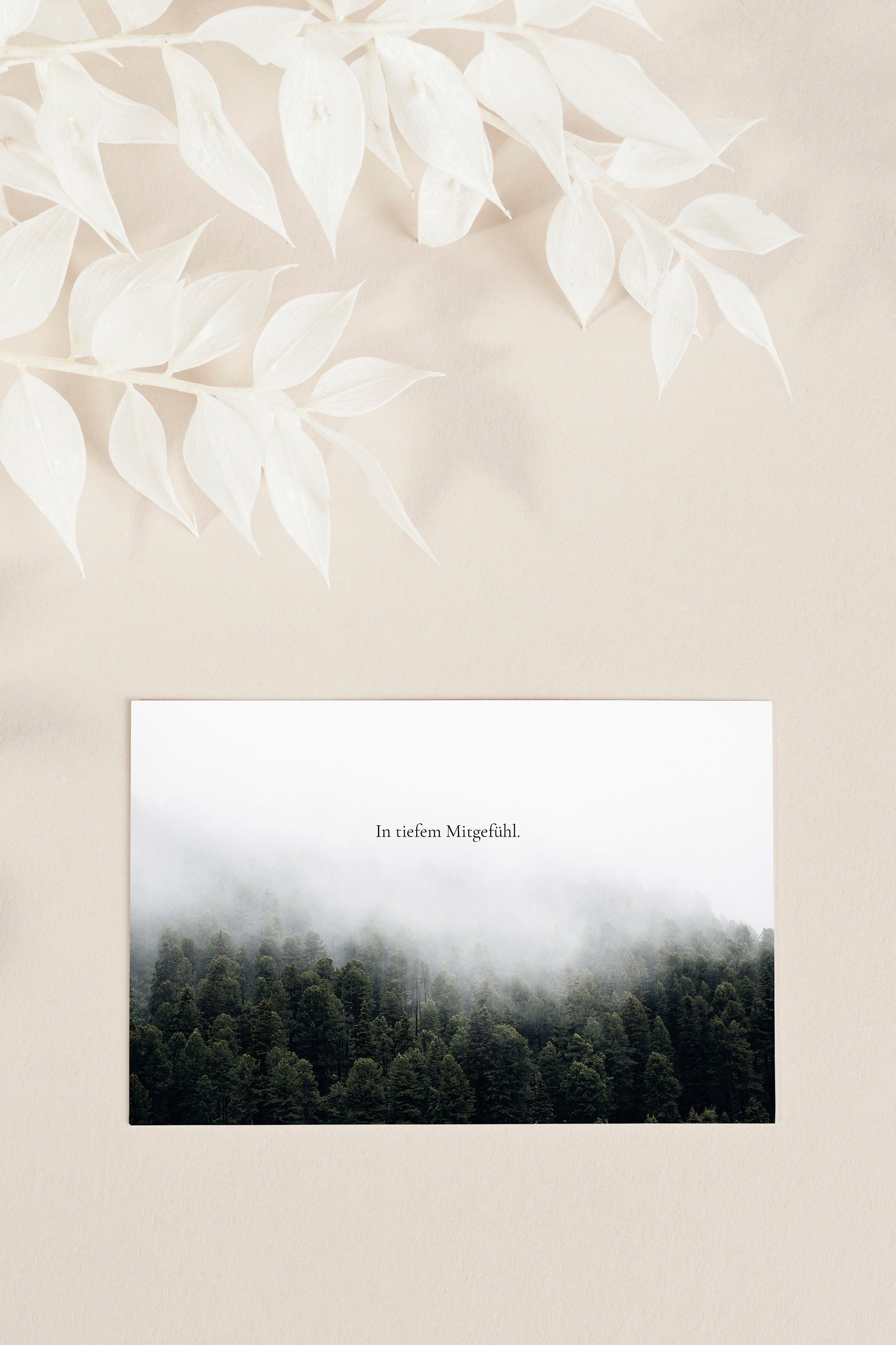 Postcard Sympathy Card Farewell Trees in the Fog With Deep Sympathy ...