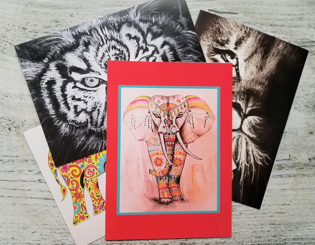 Safari Animals elephant-lion tiger Greeting Cards 4 Pack - Etsy