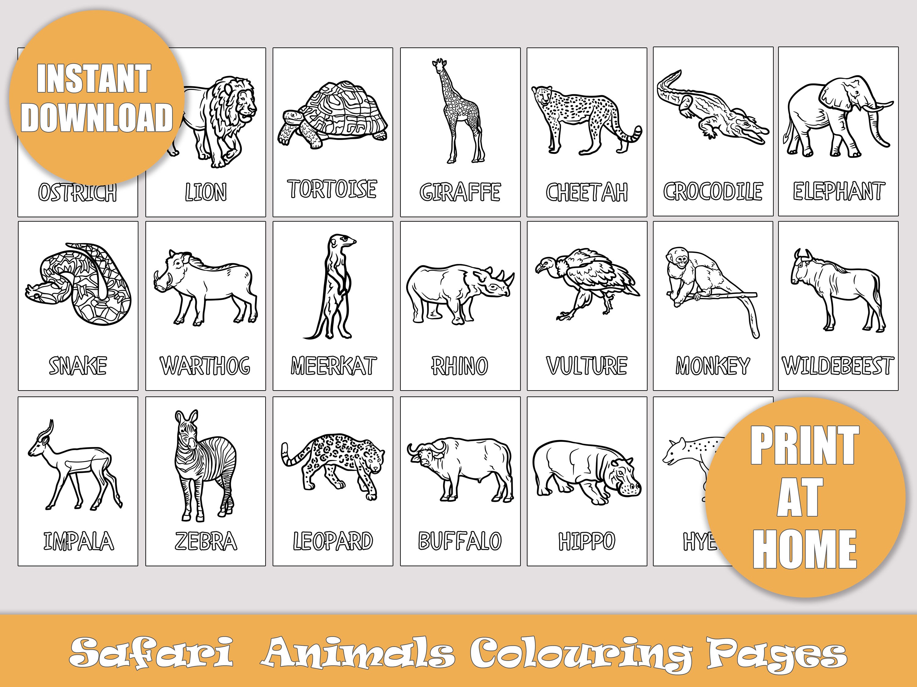 20 Printable Kids Colouring Pages: African Safari Animals | Childrens ...