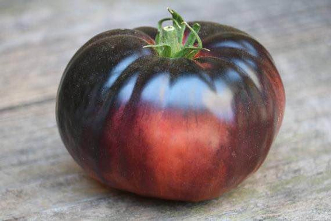 Organic Heirloom Black Beauty Tomato Seeds - Etsy
