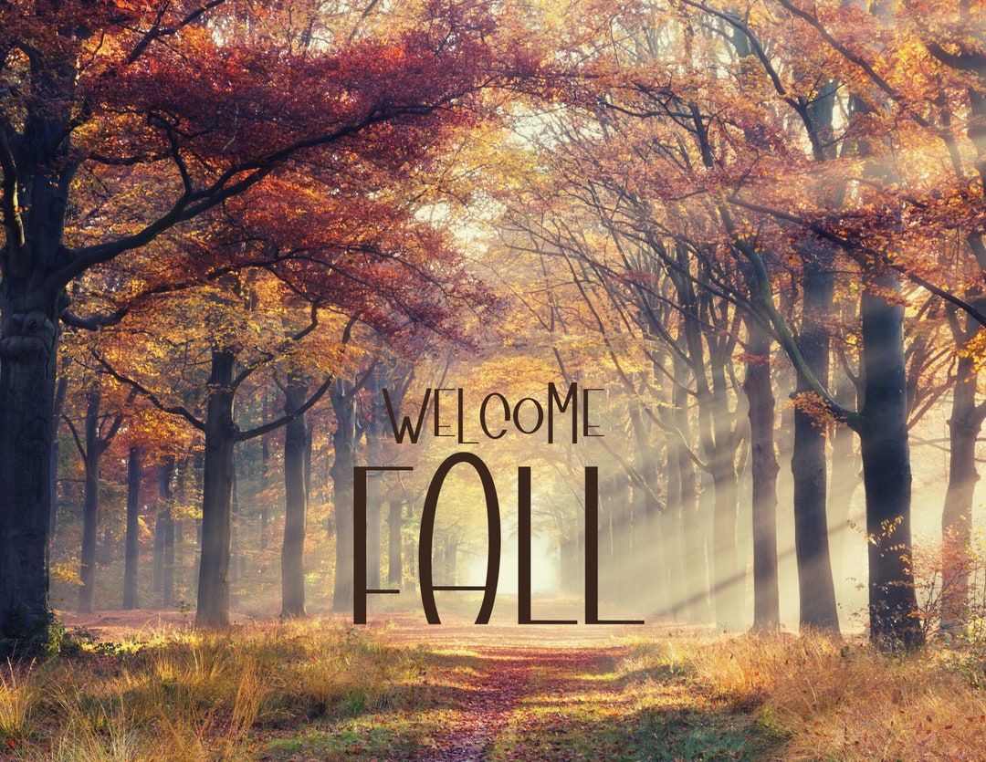 Autumn Scene Postcard, Welcome Fall - Etsy