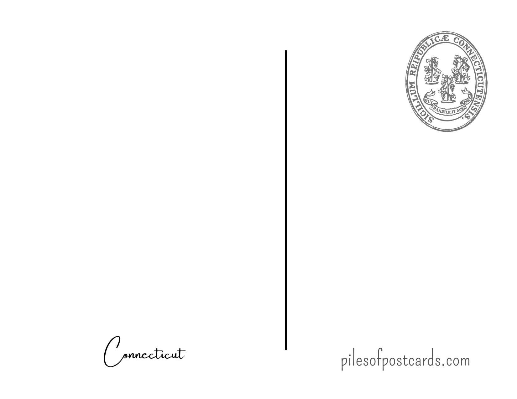 Connecticut Postcard Collectible State Floral Postcard Gift - Etsy