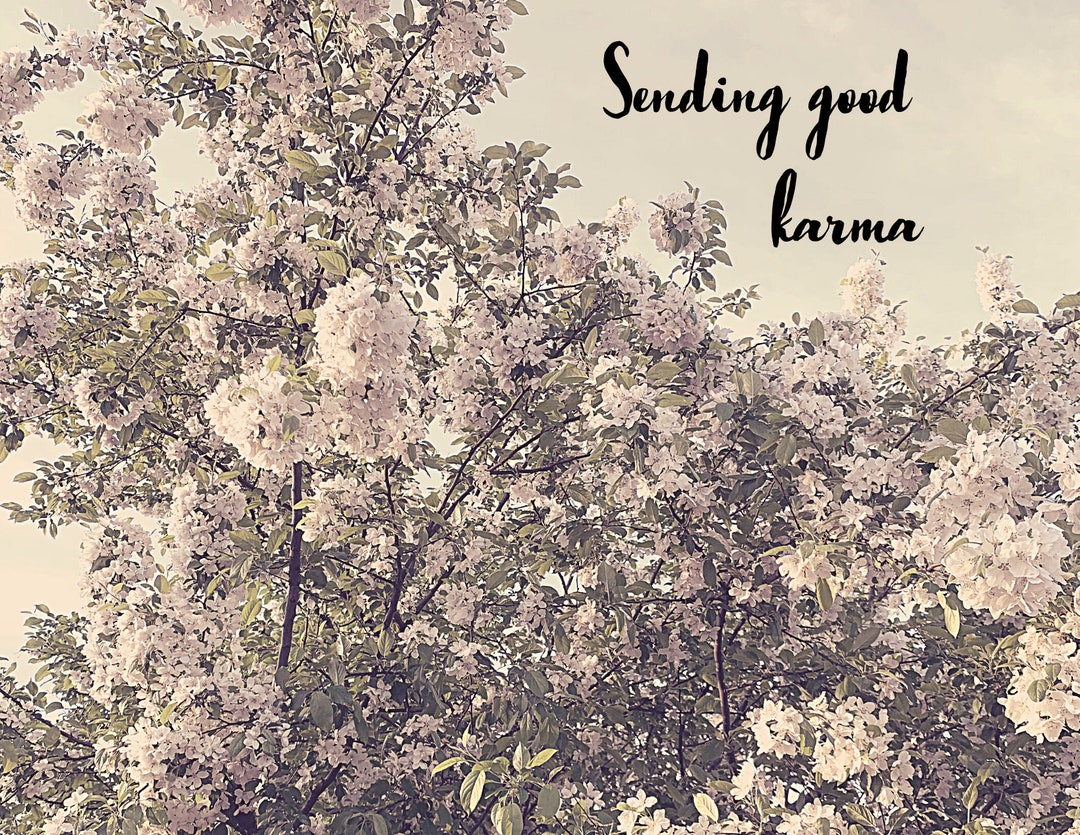 Good Karma Postcard - Etsy
