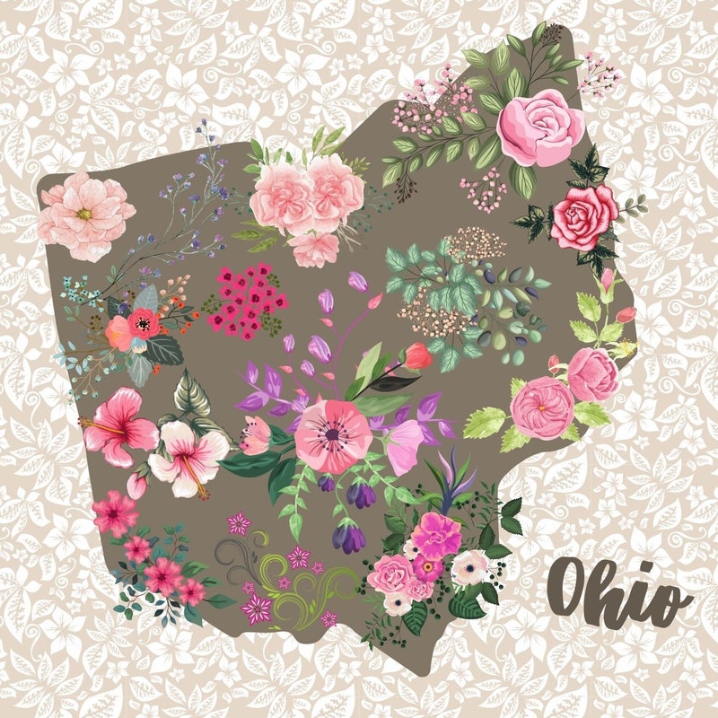 Ohio Postcards - Etsy