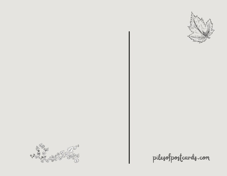 Four Seasons Postcard Pack Post Crossing Postcards Pen Pal Project ...