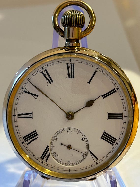 Labrador branded (omega) superb - Gem