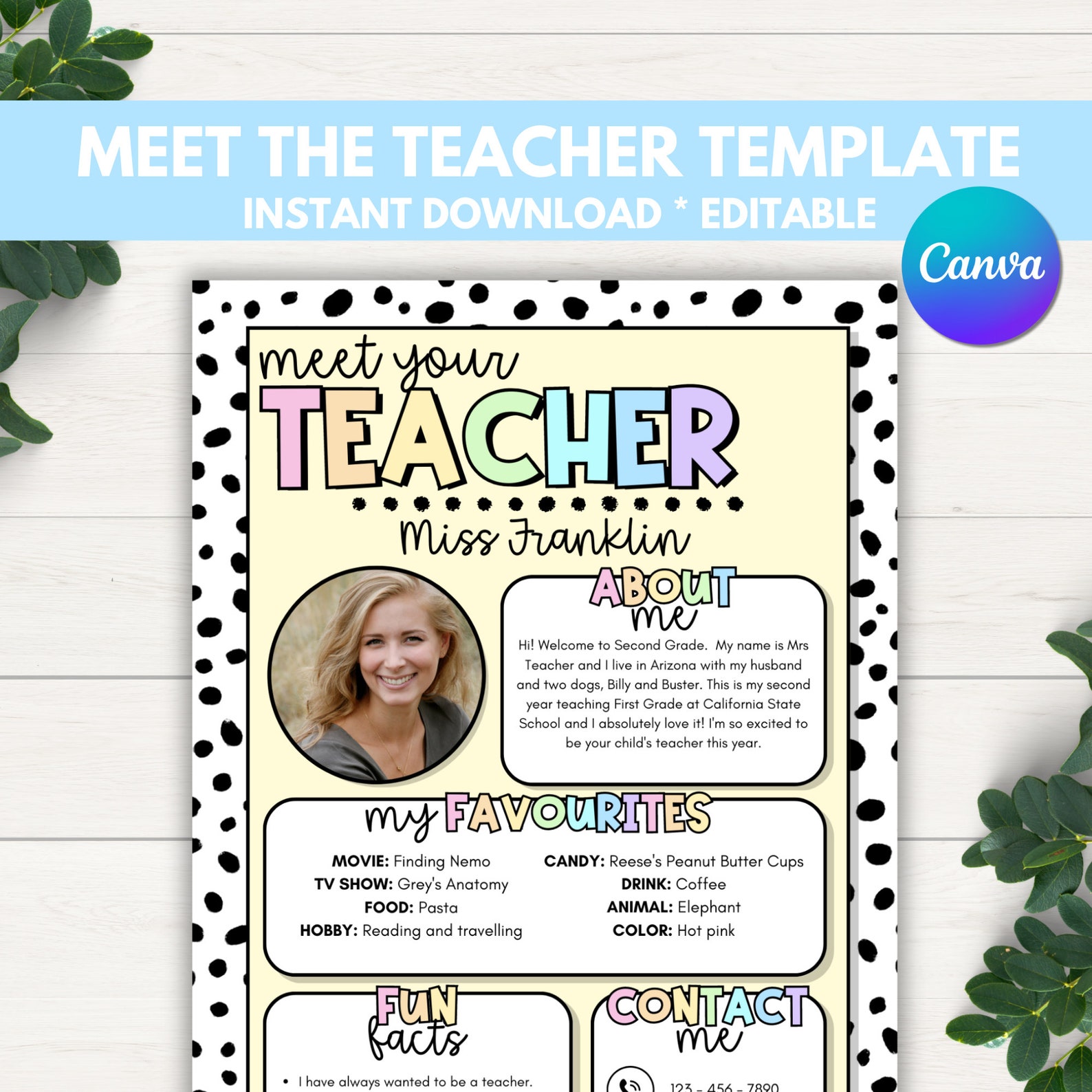 Pastel Rainbow Meet the Teacher, Meet the Teacher Template, Meet the ...