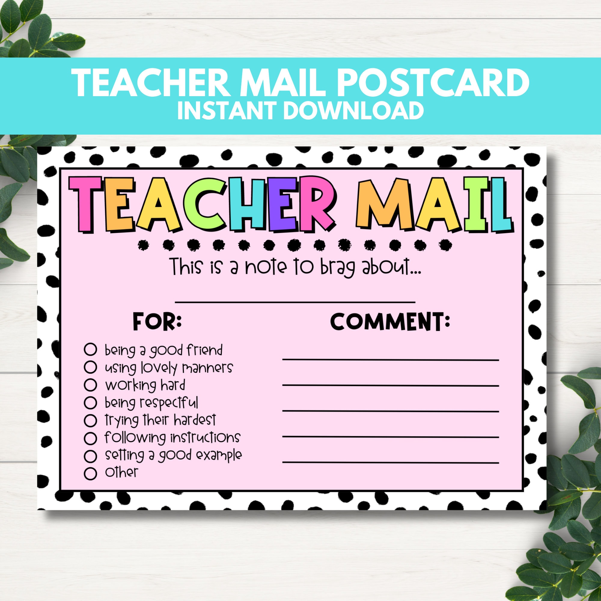 Happy Mail, Teacher Notes, Teacher Printable, Communication Notes ...