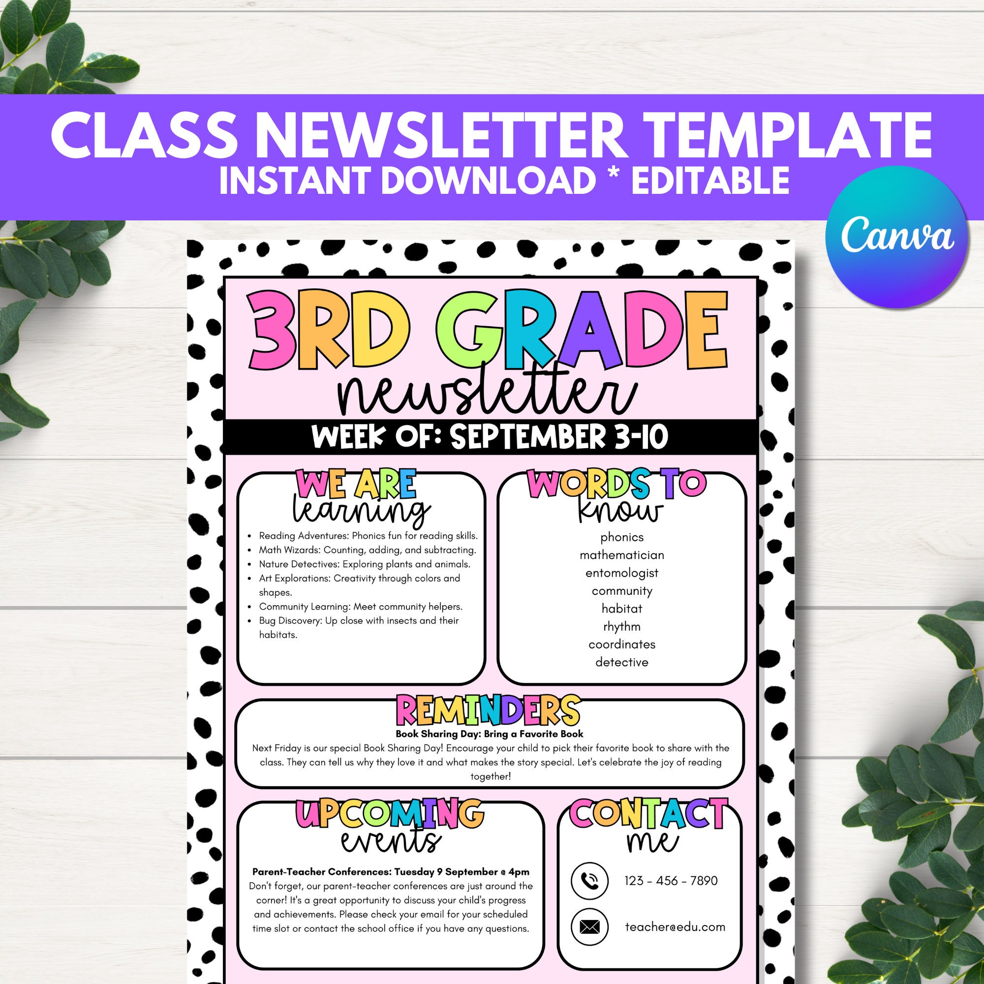 Newsletter Template, Back to School Flyer, Teacher Notes, Primary ...