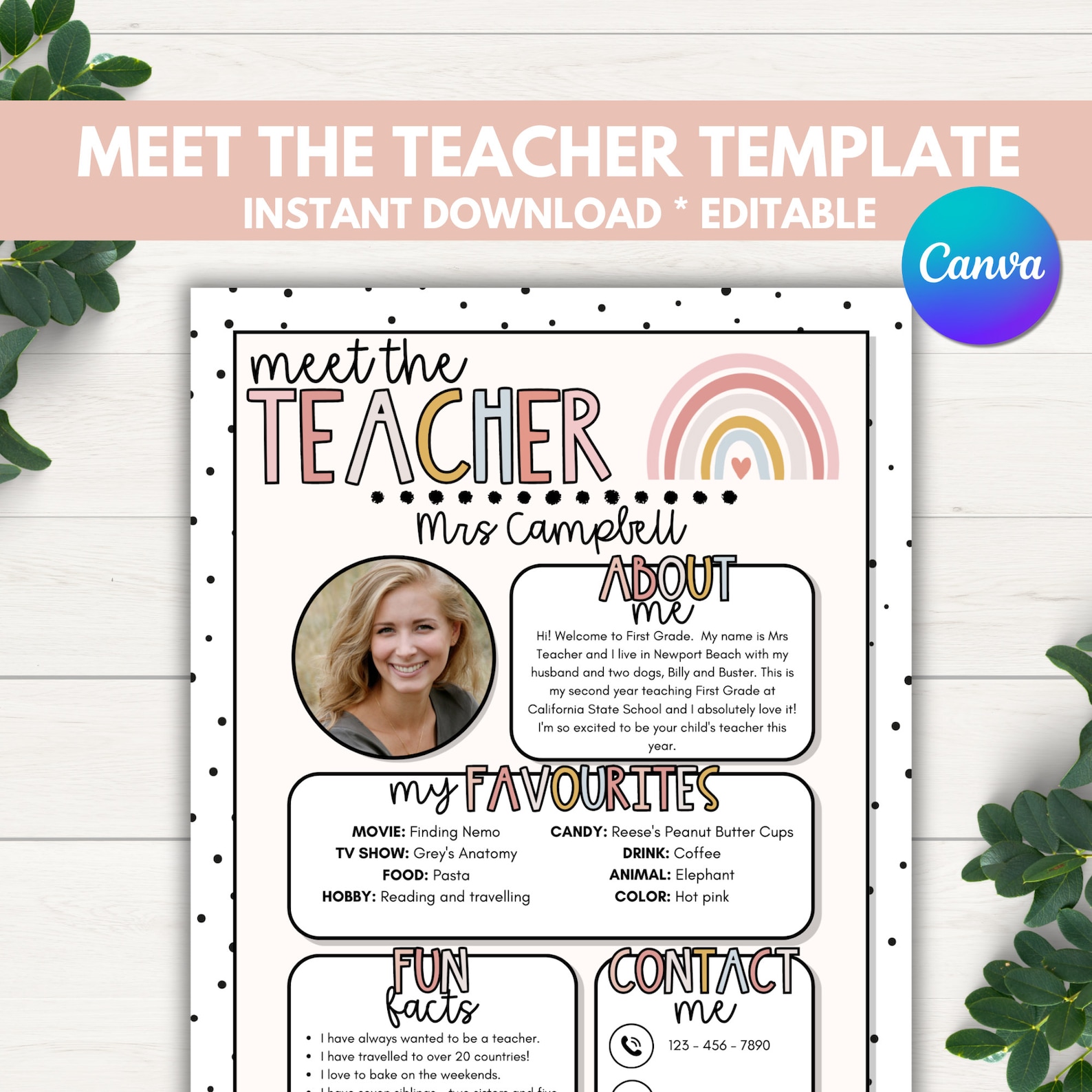 Neutral Boho Rainbow Meet the Teacher Template, Teacher Resources ...